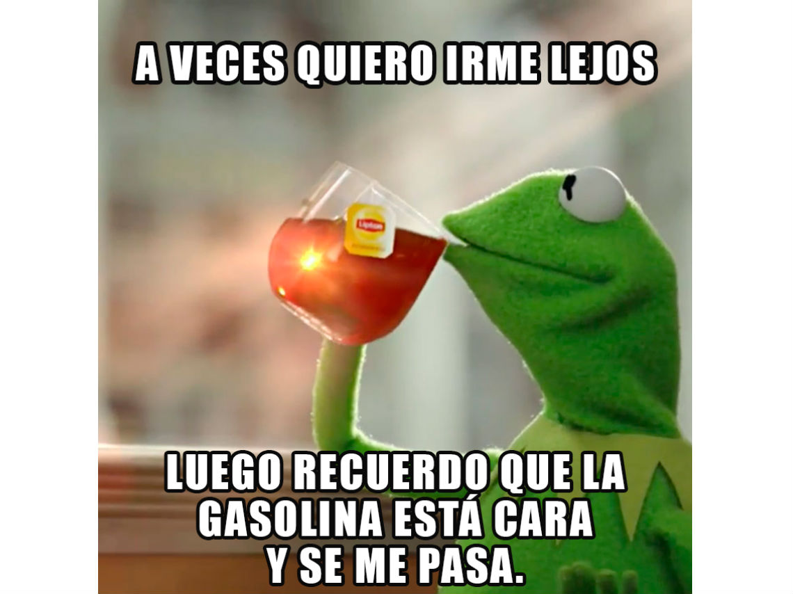 visita-el-museo-del-meme-en-cdmx-rana