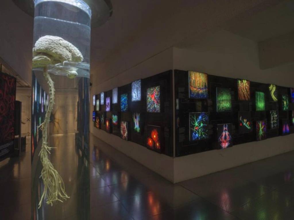 universum-celebra-30-aniversario