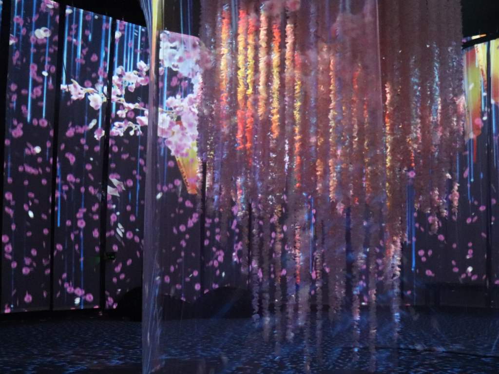 yugen-japon-inmersivo-sakura