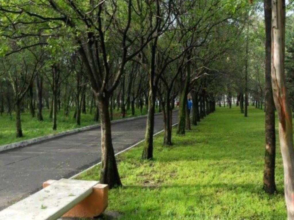 Areas-verdes-CDMX