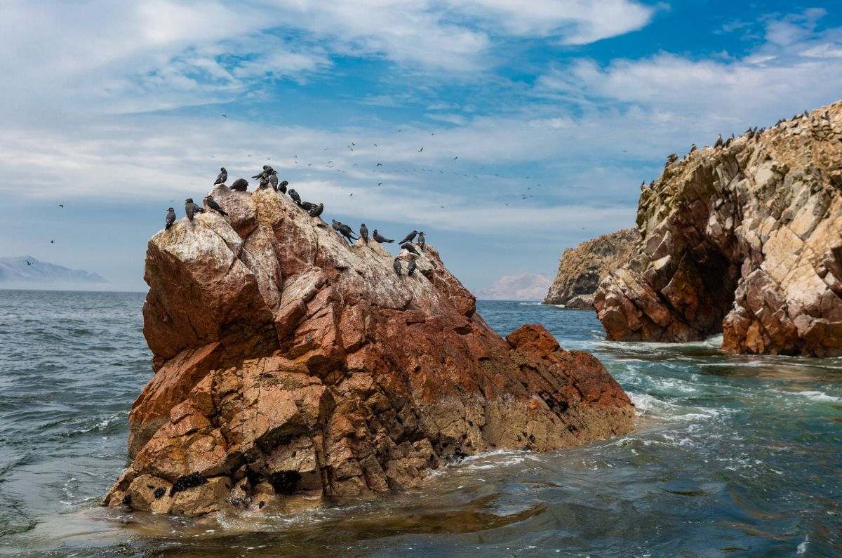 Islas Ballestas: Guía De Viajes 2024, Clima Y Cómo Llegar – AWBR