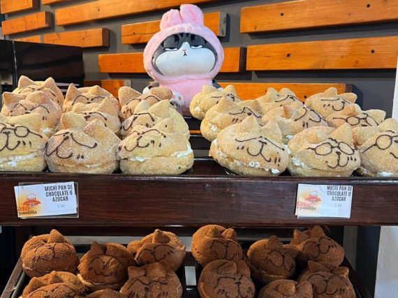 en-este-lugar-venden-michi-pan-de-muerto-en-cdmx-2