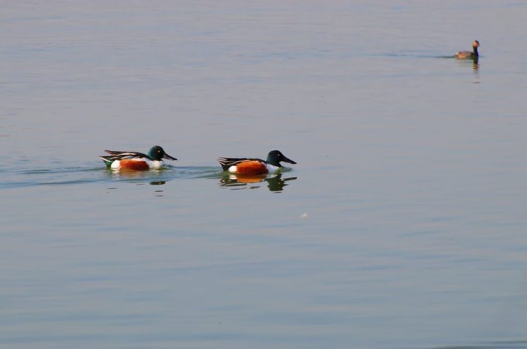 lago-tlahuac-xico-area-natural-protegida-cdmx-1