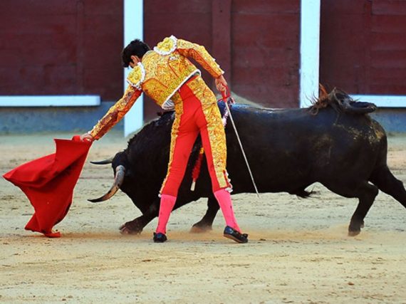 plaza-mexico-corrida-de-toros