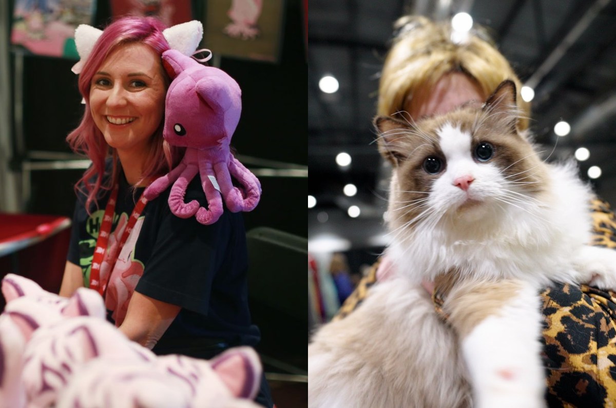 cat-fest-gatos-festival-cdmx