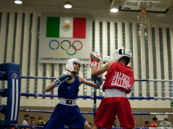 box-los-angeles-2028-juegos-olimpicos-