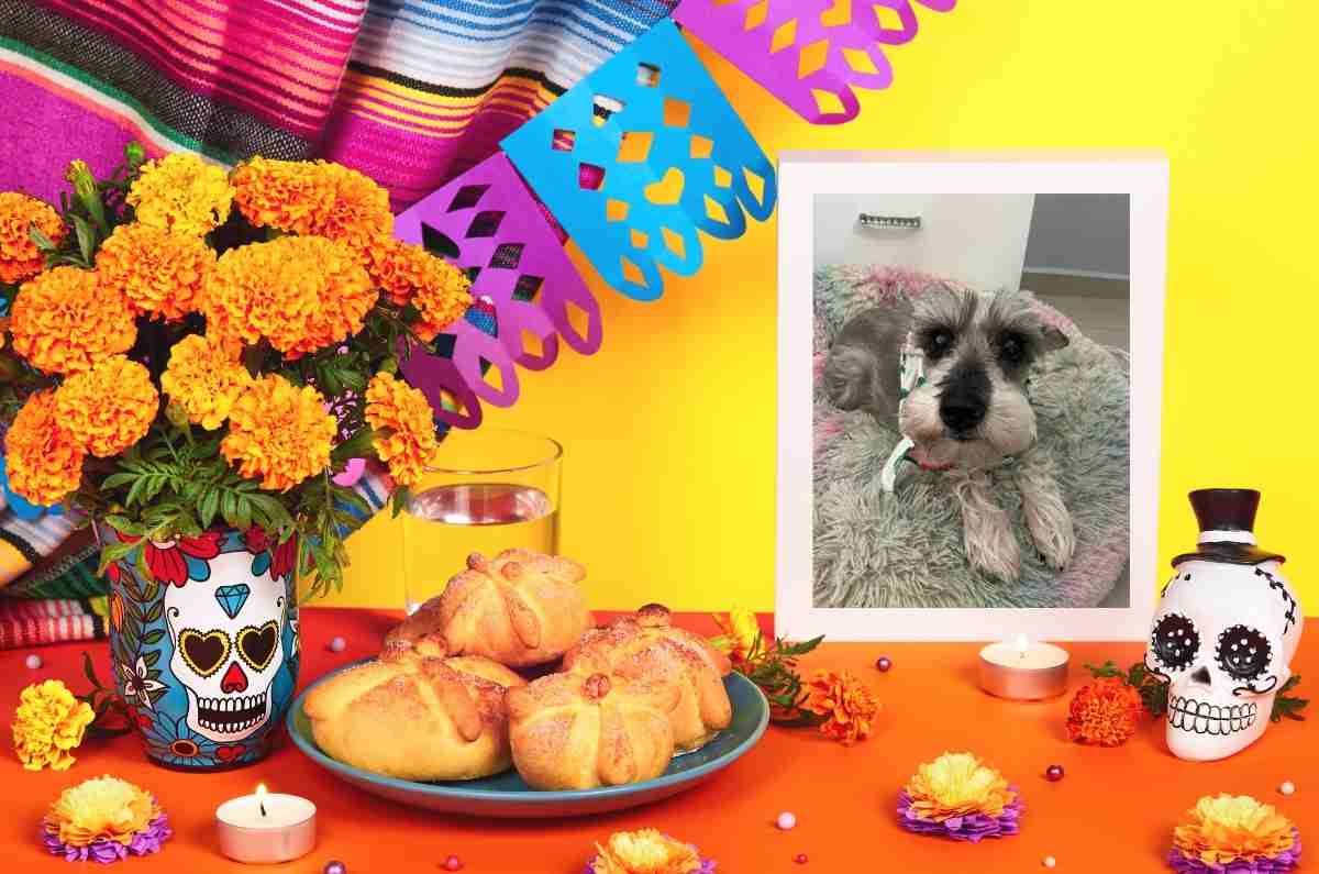 ofrenda-para-mascotas-1