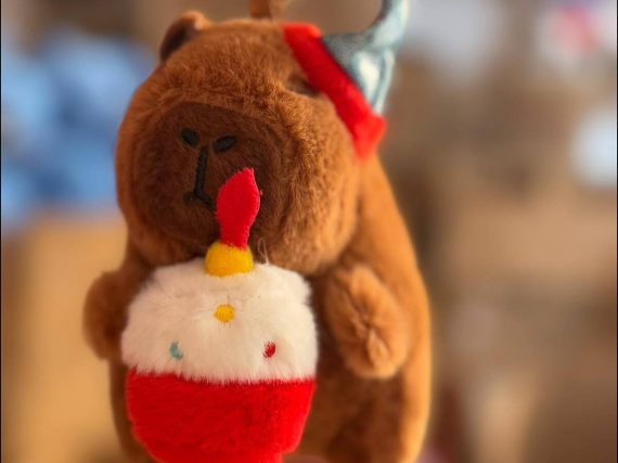 donde-comprar-peluches-capibaras-cdmx-mimi