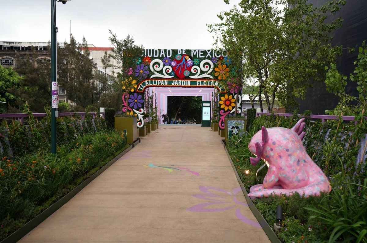 Nuevo Jardín Flotante de Tlalpan: Todo lo que tienes que saber para ...